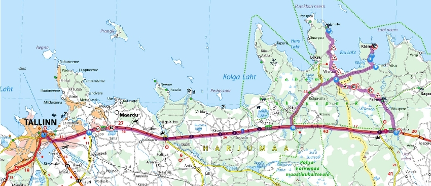 Przewodnicy Po Tallinie Przewodnicy Po Tallinie